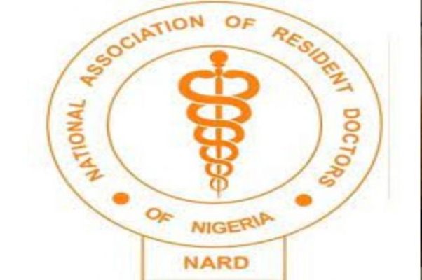 NARD Strike: House Reps Begins Sitting On Implementation Of Demands ...